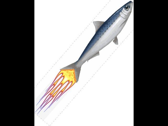 Dave Landry’s The Week In Charts-Live Examples: Trading The Landry IPO ...